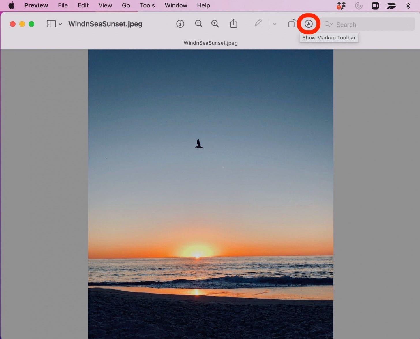 Cómo recortar fotos en Mac (¡la forma más fácil!) - ThemeLocal ...