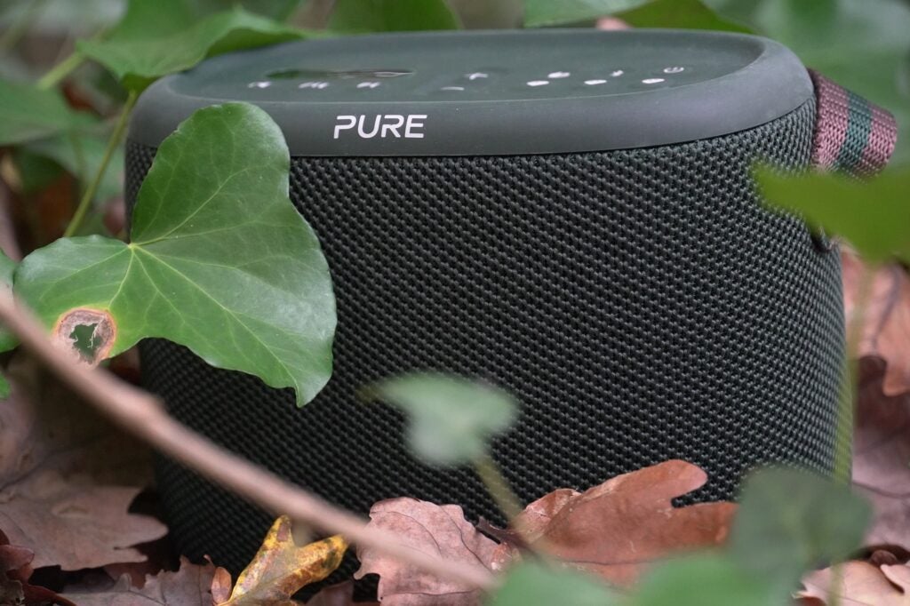 Revisión de bosque puro - ThemeLocal: consejos de blog que funcionan ...